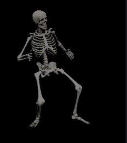 skeleton Blank Template - Imgflip