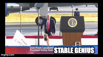 The stable genius - Imgflip