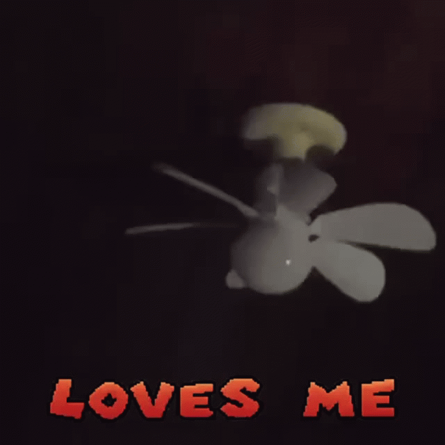 Image tagged in gifs,sm64ds - Imgflip