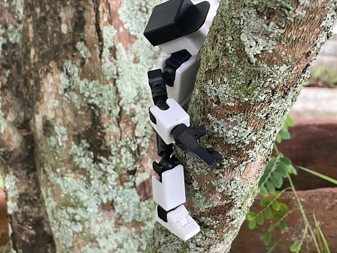 more pics in the comments y’all - Imgflip