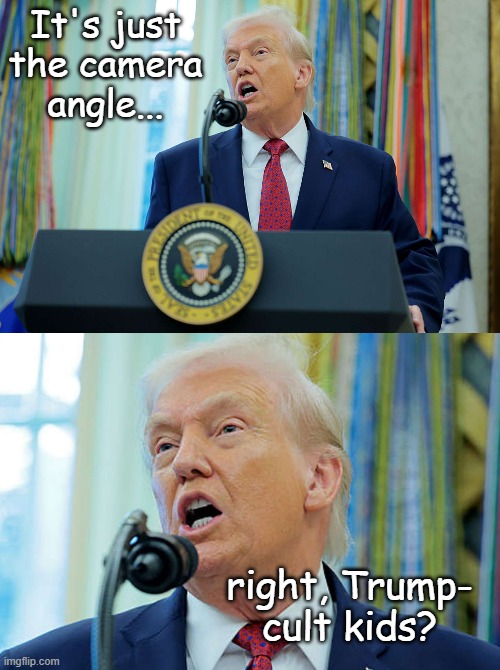 politics derpy trump Memes & GIFs - Imgflip