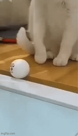 Ball - Imgflip