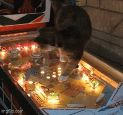Pinball - Imgflip