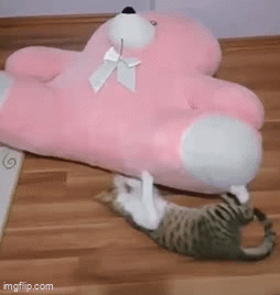 Spinning giant stuffed teddy bear - Imgflip