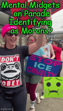 What the heck? - Imgflip