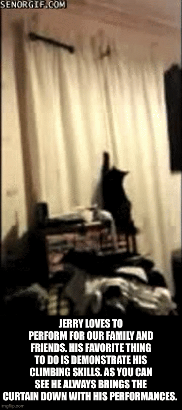 He’s extremely talented at tearing stuff up, too… - Imgflip