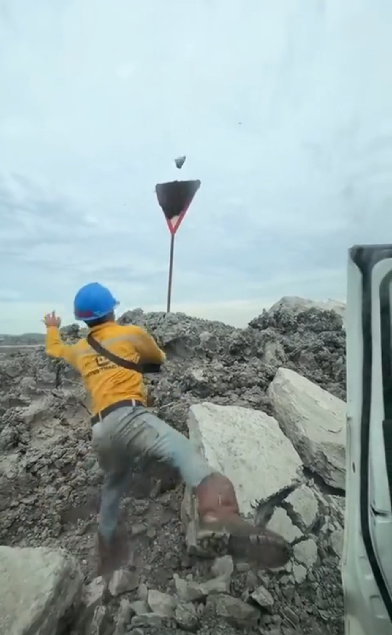 Wasp safety helmet Memes - Imgflip