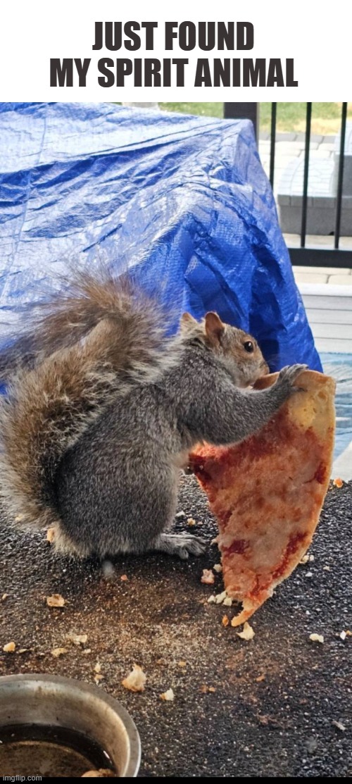 fun Memes & GIFs - Imgflip