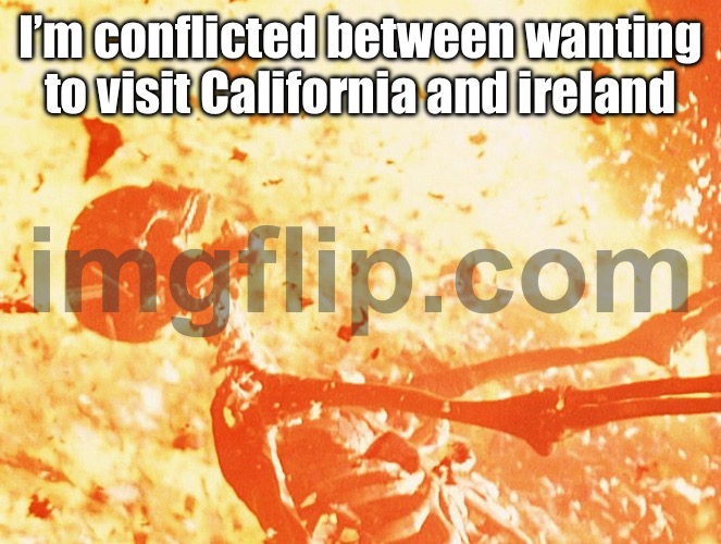 Fire skeleton - Imgflip