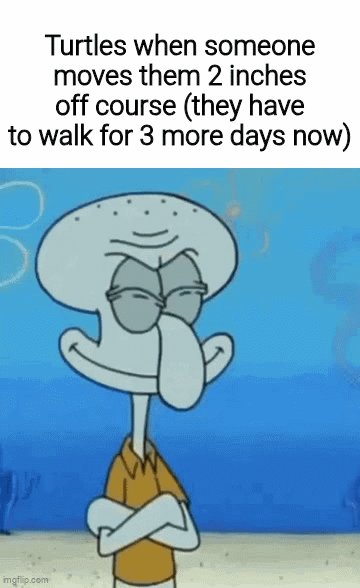 Clever gif title, I suppose - Imgflip