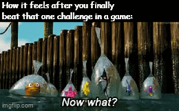 Now what (Gif) - Imgflip