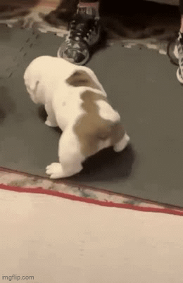 I Can Splits!!! - Imgflip