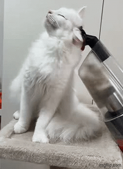 Vacuum cleaner comfy - Imgflip