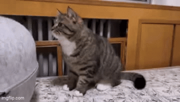 This Bed Is Too Small ! - Imgflip