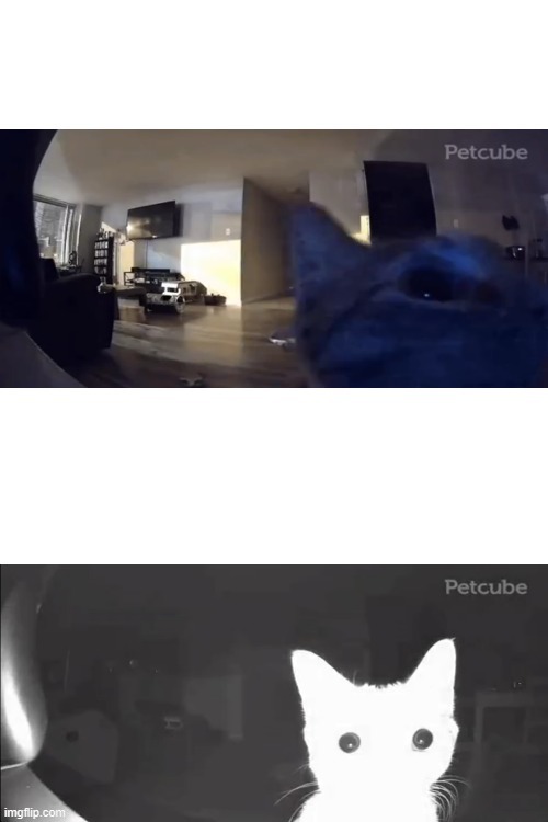 he was right dont google porn - Imgflip