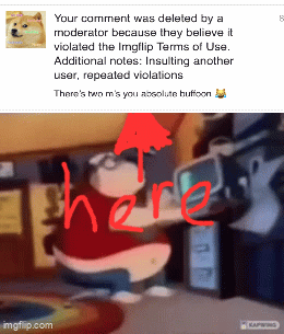 How Imgflip mods genuinely be moving rn they comment banned me 2 days for ONLY THIS - Imgflip