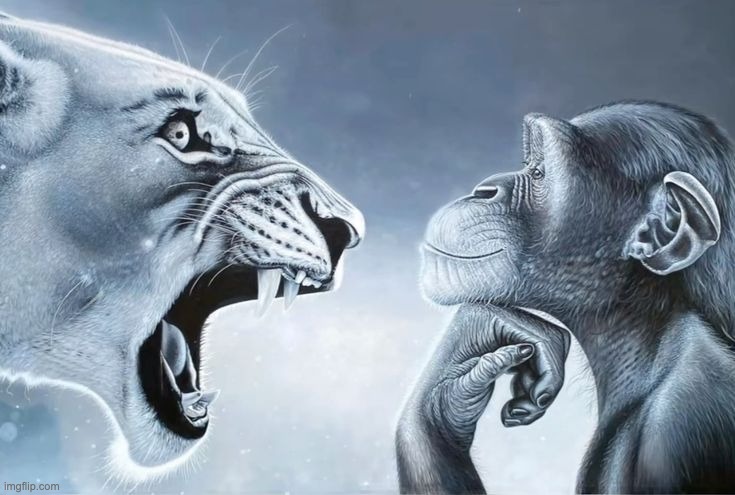 singe vs lion - Imgflip