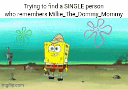 Spongebob Searching - Imgflip