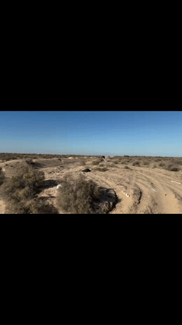 Animated GIF - Imgflip