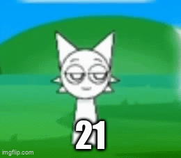21 - Imgflip