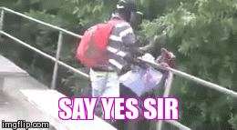 Say yes sir - Imgflip