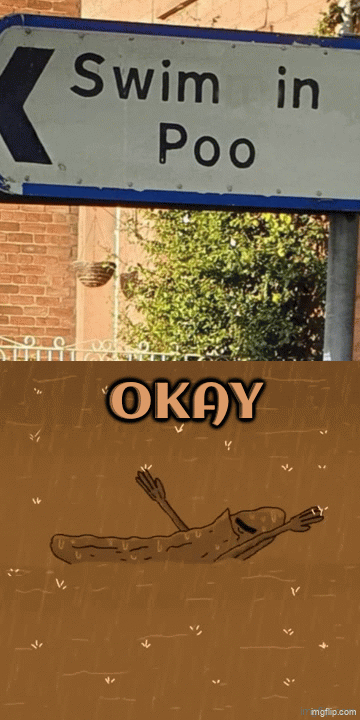 Swim In Poo - Imgflip