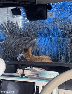 Car wash - Imgflip