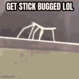stick bug - Imgflip