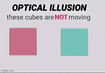 Animated GIF - Imgflip