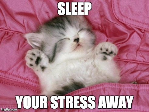 Stress Sleep Memes Sleep Memes & GIFs Imgflip