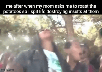 Roast - Imgflip