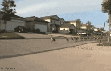 The Invasion Begins at Dawn - Imgflip