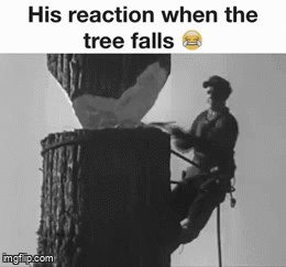 his reaction when the tree falls - Imgflip