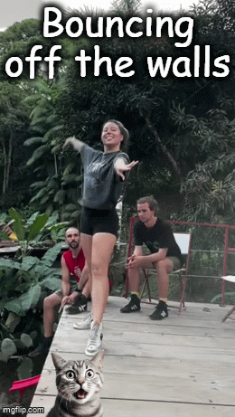 Looks Like FUN - Imgflip