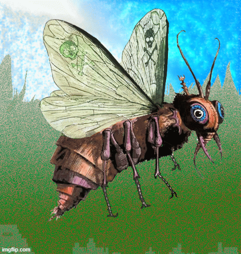 Beezle FLYIN - Imgflip