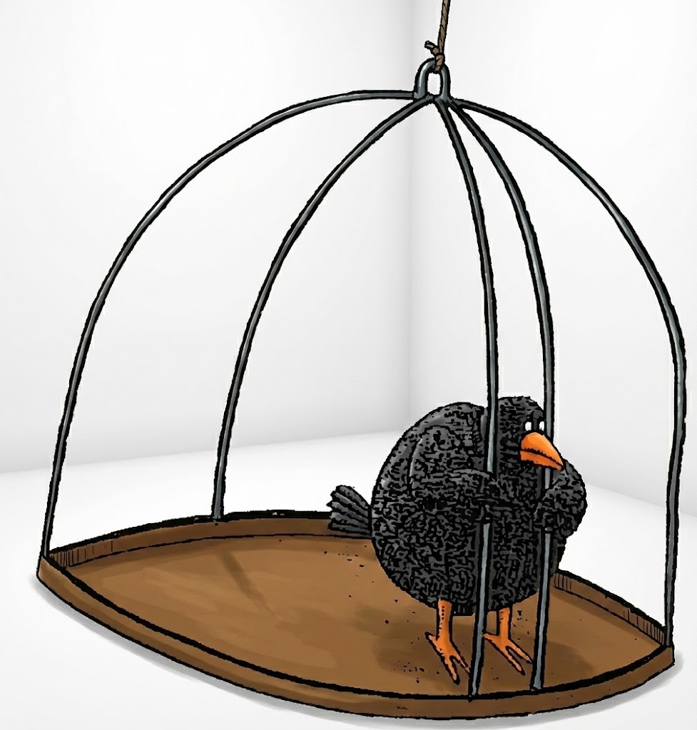 caged bird Memes - Imgflip