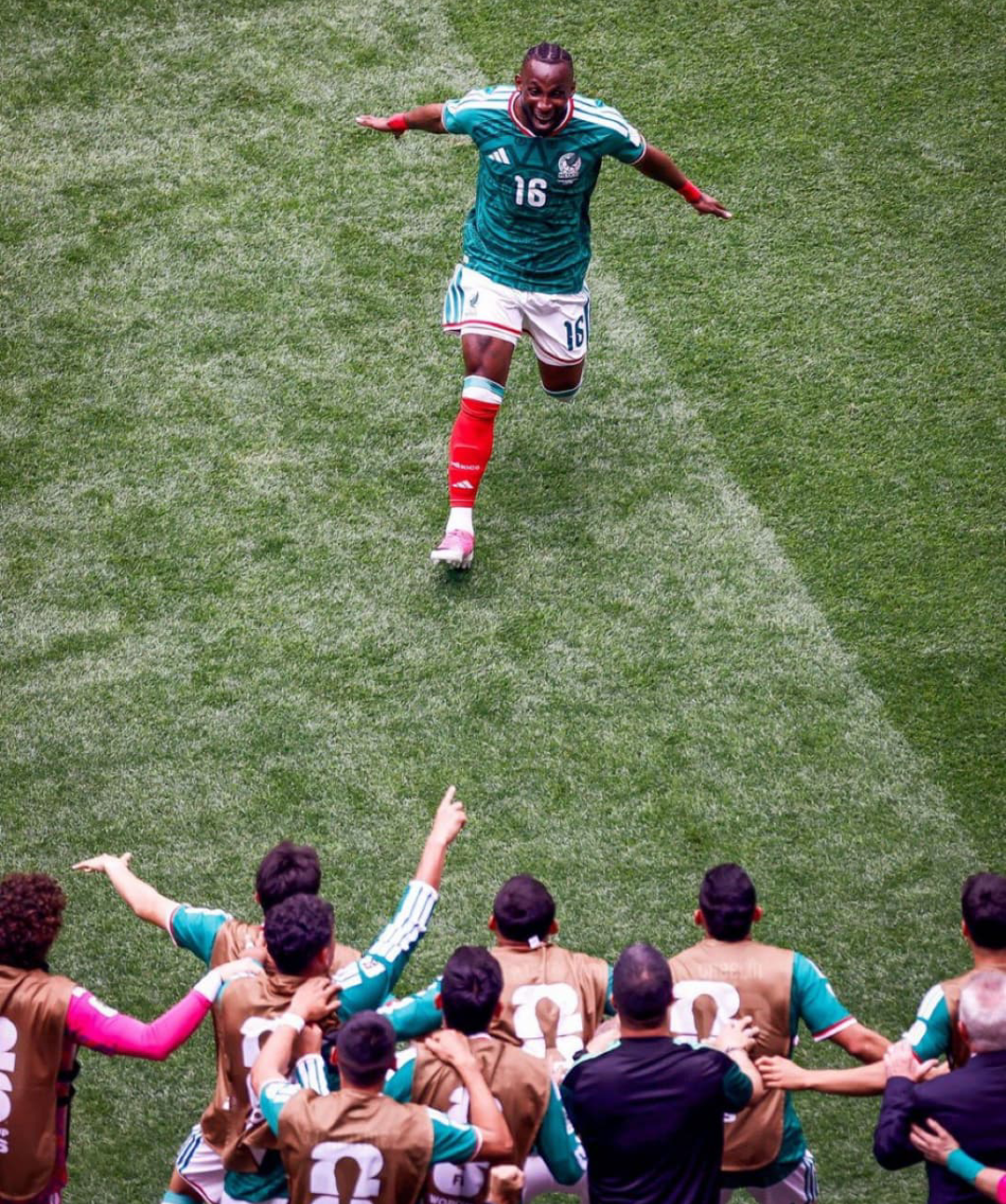 Los mexicanos nacen Blank Template - Imgflip