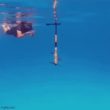 The 'Swimming Pole' - Imgflip