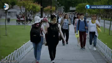 Animated GIF - Imgflip