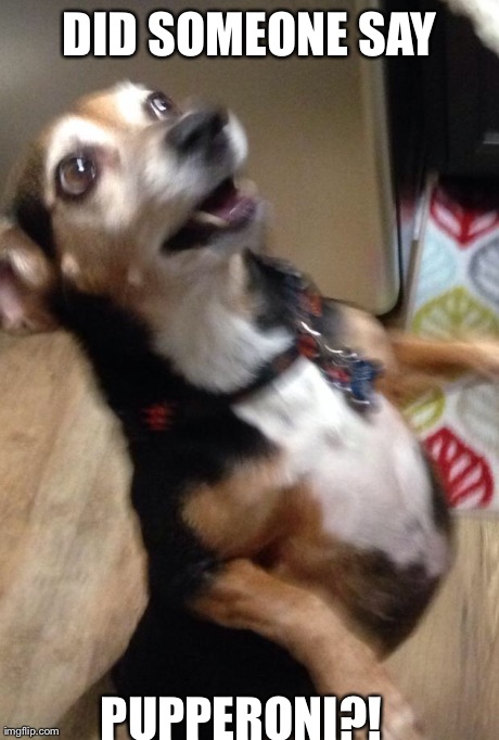 Image tagged in did someone say - Imgflip