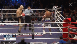 THE HAYMAKER - Imgflip