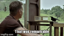 Remarkable - Imgflip