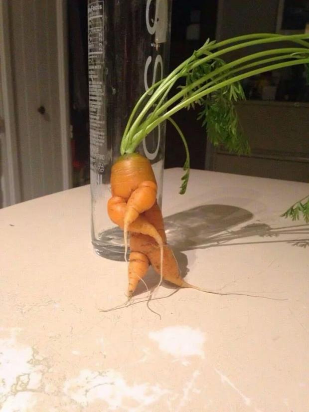 Gangster Carrot Blank Template Imgflip