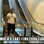 Animated GIF - Imgflip