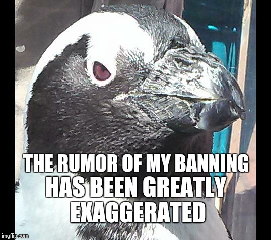 aimless blank - Imgflip