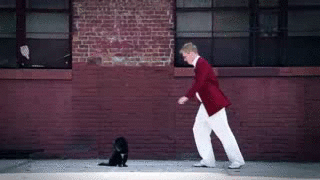 Sugarboy- Chip Lockder- Dog Kick - Imgflip