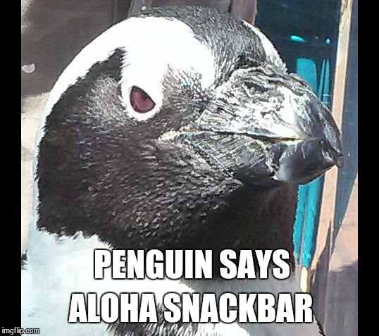 aimless blank - Imgflip