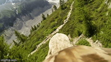 GoPro on an Eagle. - Imgflip