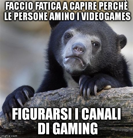 Confession Bear Meme - Imgflip