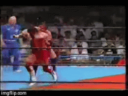 Stan Hansen and the Way of the Lariat - Imgflip